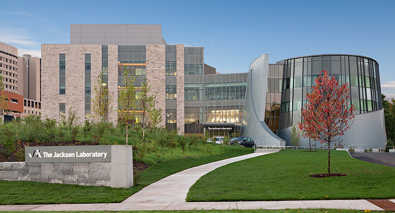 M.D./Ph.D. Program | Medical Education | UConn School of Medicine